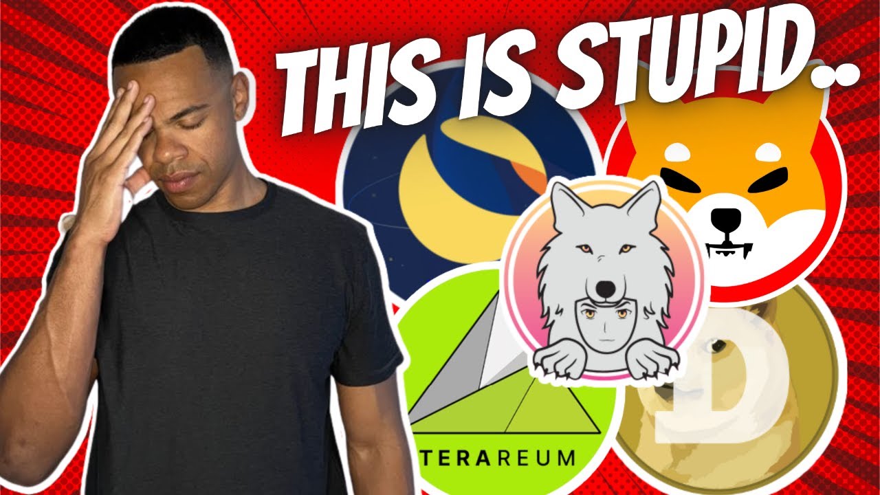 Meme Coin Drama! This is so stupid. Why are people so damn tribal about ...