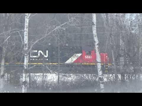 CN 5442 L519 Arrival at West Ladysmith on 12-9-22 - YouTube