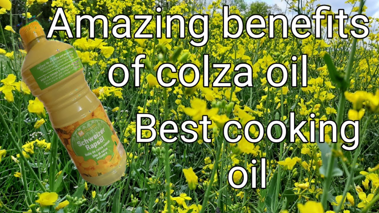 AMAZING BENEFITS OF COLZA OIL | HEALTHY OIL FOR BABY WITH OMEGA-3 ...