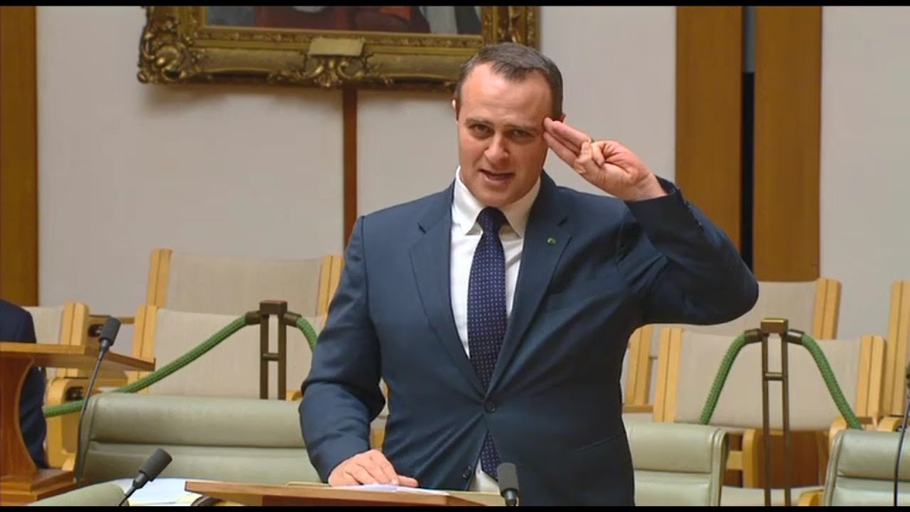 Tim Wilson MP - The Great Goldstein Community - Federation Chamber - 30 ...