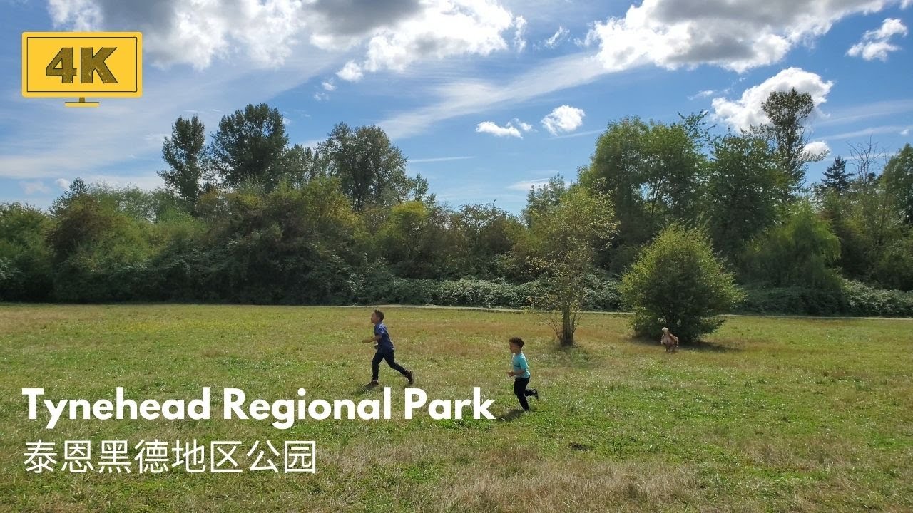泰恩黑德地区公园 Tynehead Regional Park - 旅游攻略 - YouTube