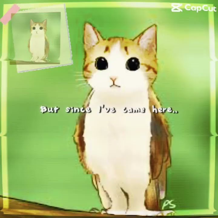 Cute and adorable meowl meme - YouTube