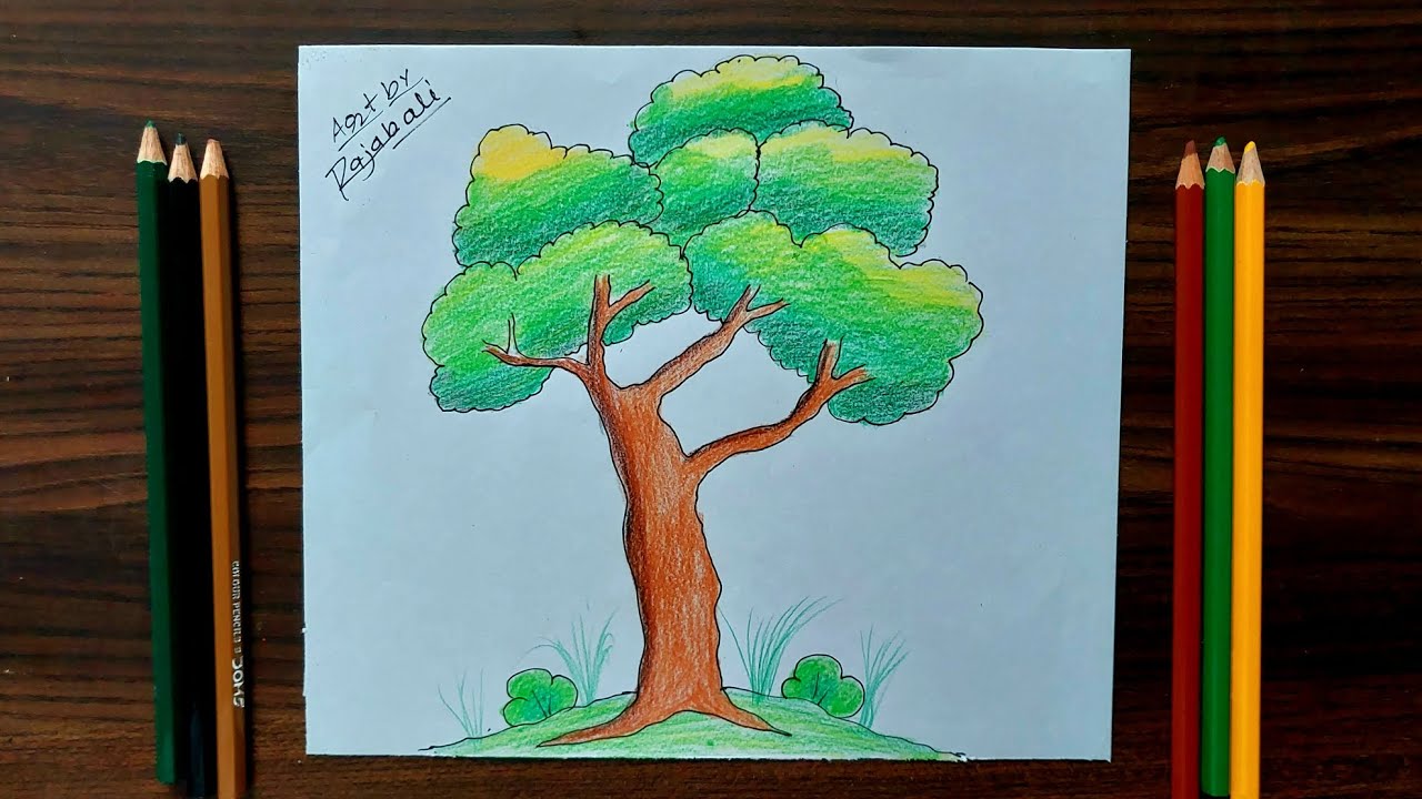 Easy Tree Drawing|How To Draw Tree Step By Step|Tree Drawing For ...
