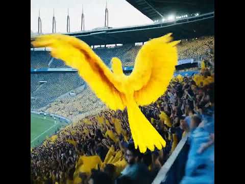 Dev Sarı Kanarya Fenerbahçe Tribününde #Fenerbahçe #SarıKanarya #Futbol #Taraftar #Stadyum