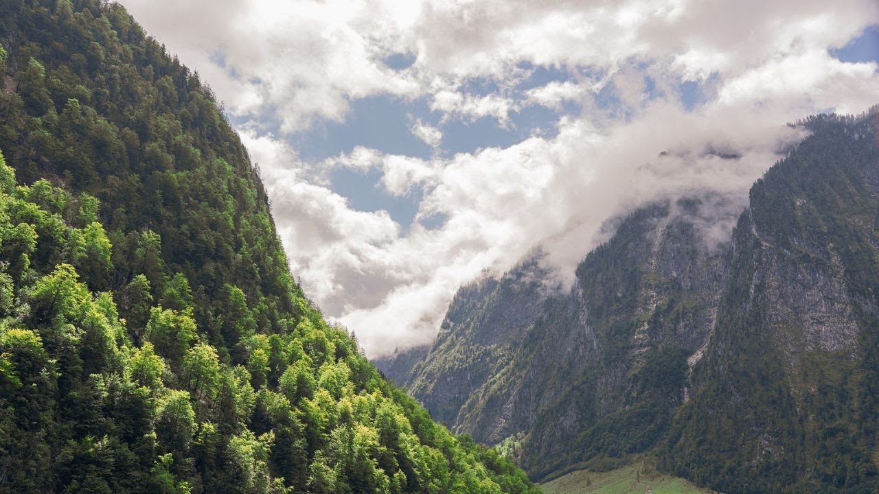 A Peaceful Walk Through Nature 🌲 Calming Music to Relieve Stress and ...