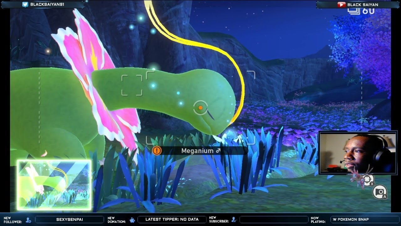 New Pokemon Snap - Pokemon Photography 101 (Meganium Highlight) - YouTube