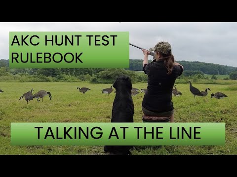 AKC HUNT TEST RULEBOOK - TALKING AT THE LINE - YouTube