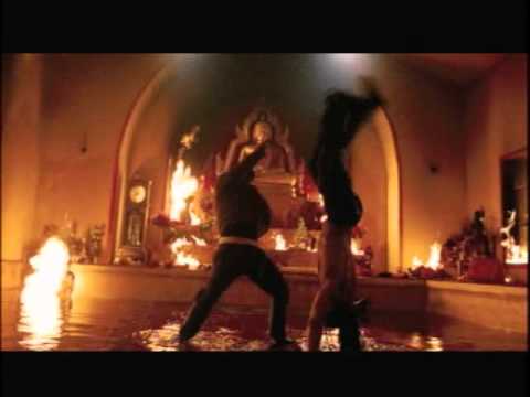 Tom Yum Gong-capoeira fight scene.wmv