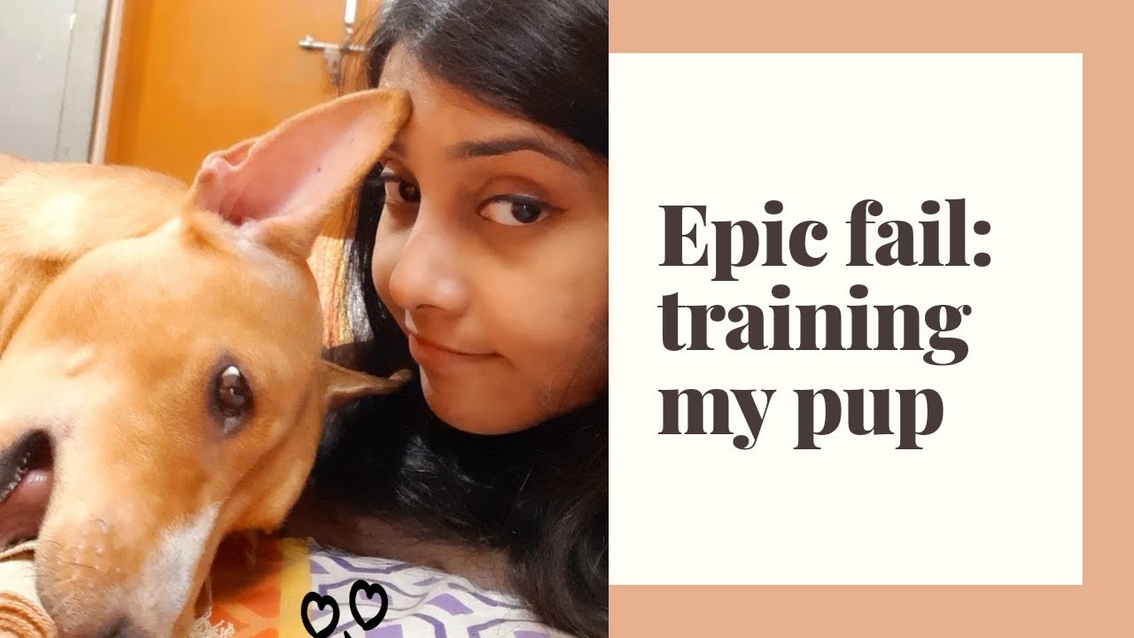 Epic FAIL: Training my pup (with captions) | Funniest video ever | Try ...