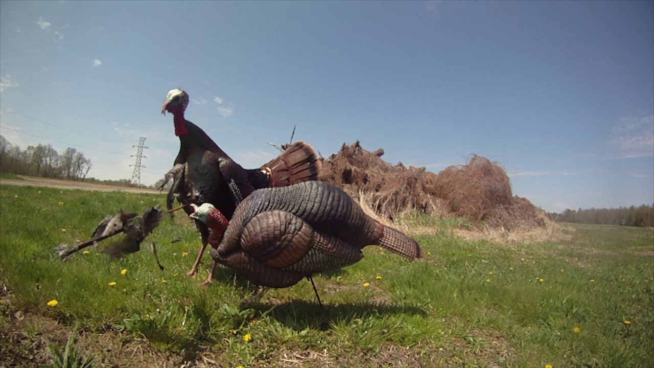 Slow motion Rage exiting turkey - YouTube