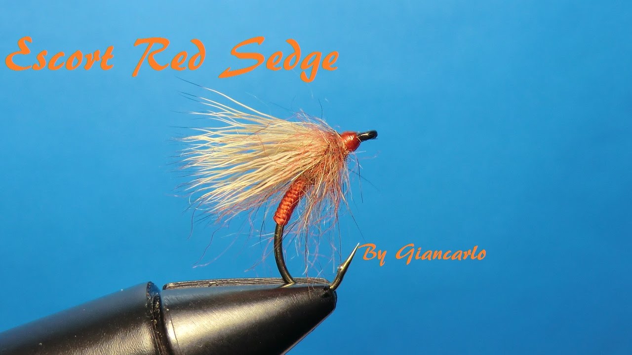 ESCORT RED SEDGE By Giancarlo - YouTube