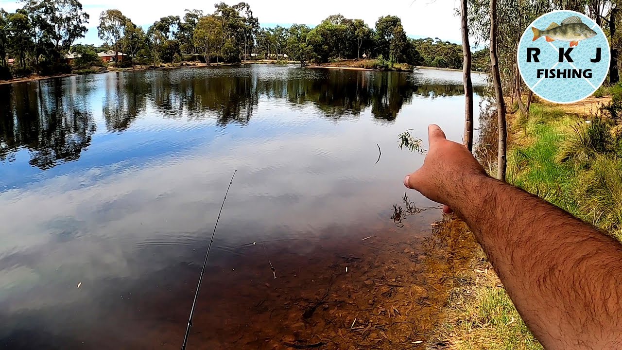 Fishing at Lake Tom Thumb in Bendigo - YouTube