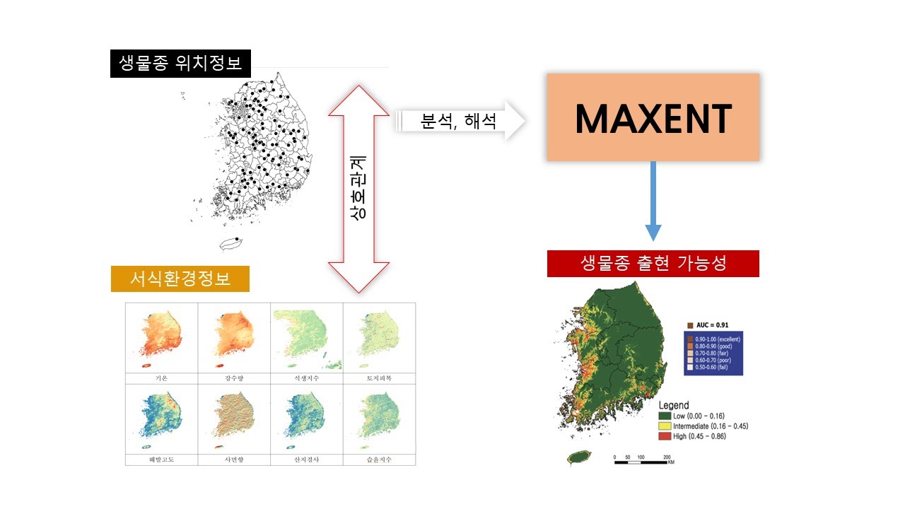 Maxent 강좌 - YouTube