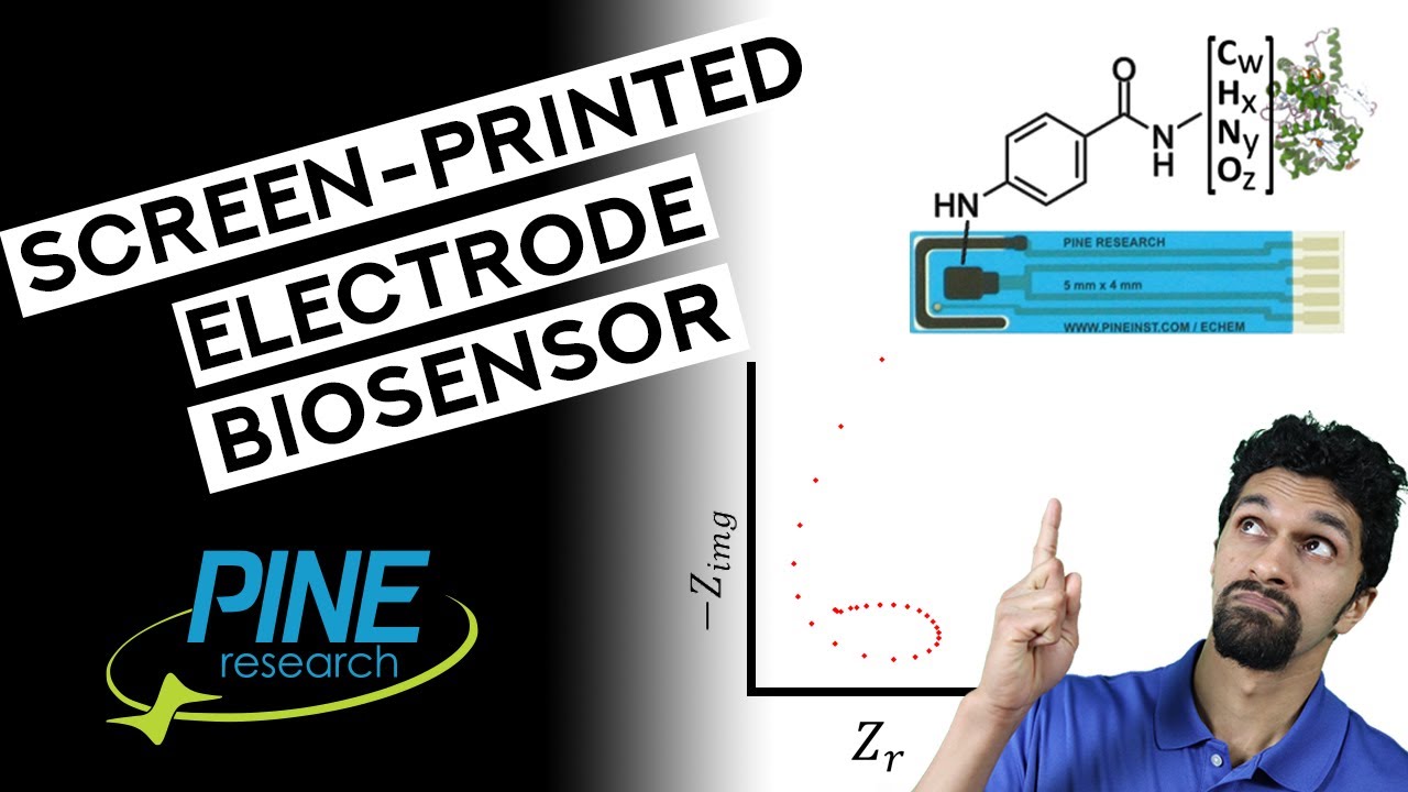 Electrochemical Impedance Spectroscopy of a Screen-Printed Electrode ...