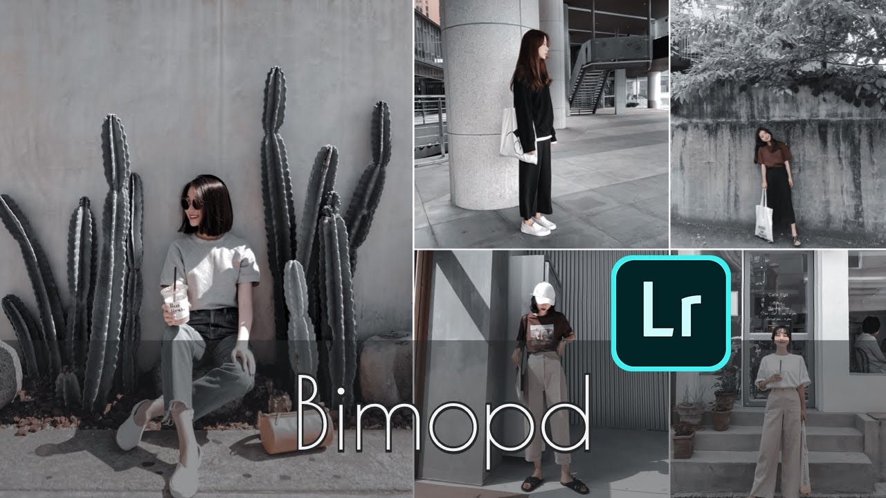 Lightroom Mobile Presets Free Dng | Bimopd Preset | How to edit bimopd ...