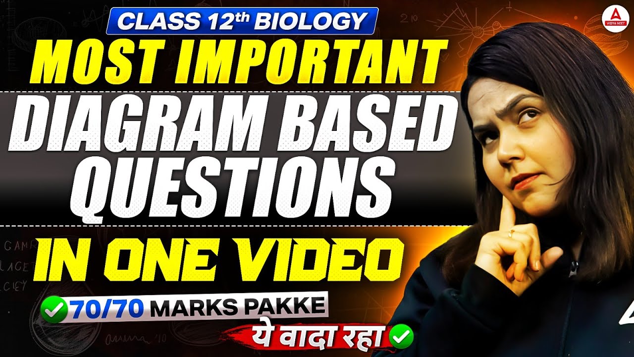 Class 12 Biology Most Important Diagram Based Questions in One Video ...