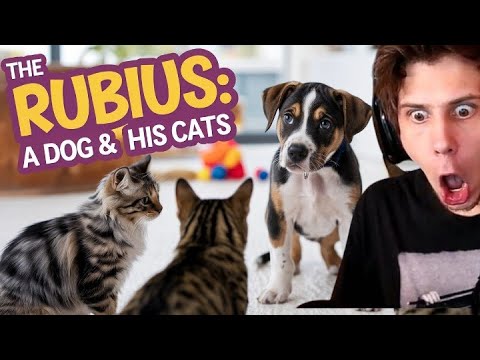 ElRubius Adds a Dog to His Cats: A Canine Psychologist's Analysis - YouTube