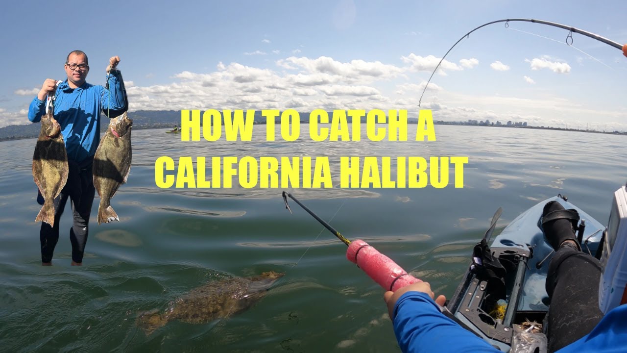 I did this to catch my first California Halibut (How to catch a Halibut ...