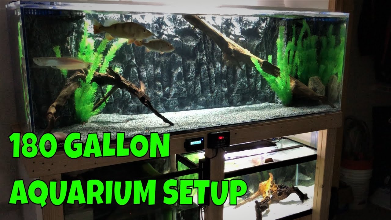 Setting up my NEW 180 Gallon Acrylic PREDATOR TANK | part 3 - YouTube