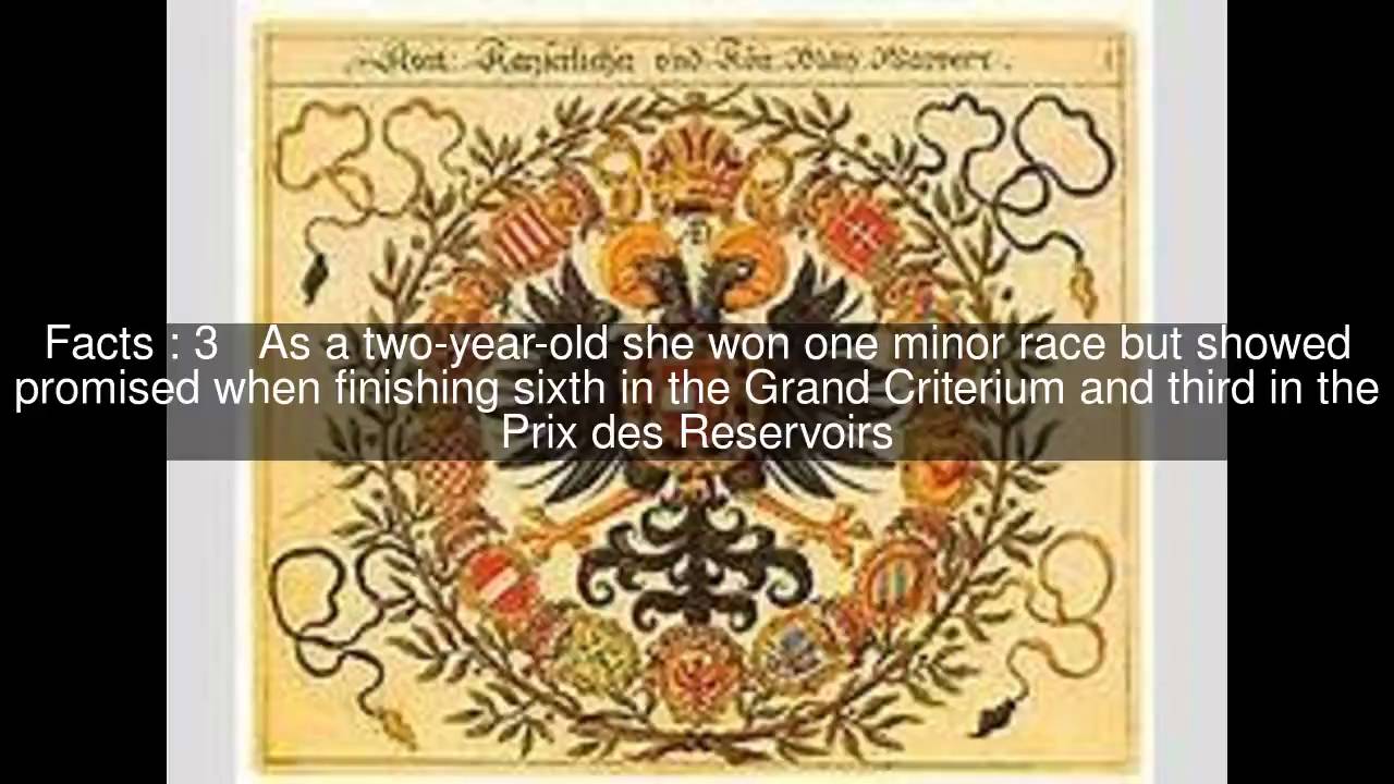 Nobiliary Top #5 Facts - YouTube