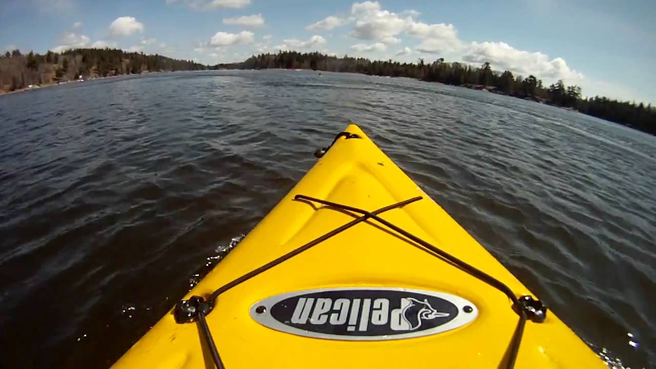 headless fish - YouTube