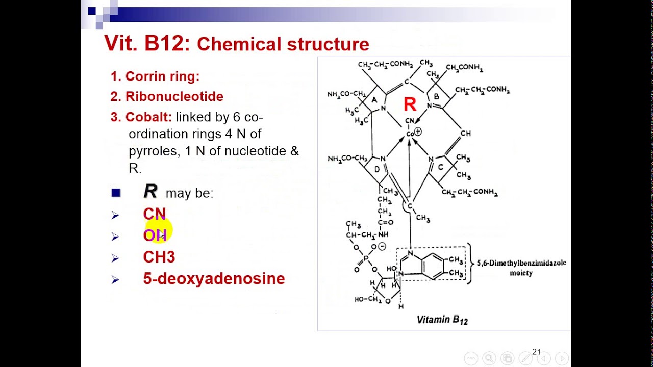vitamin B12 Dr.Eman - YouTube
