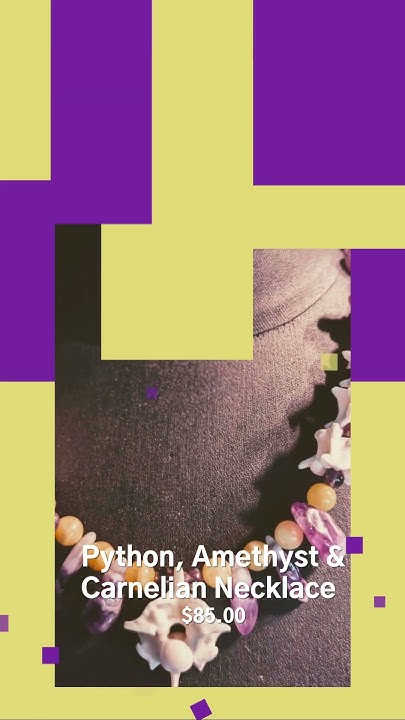 Everglades Powerhouse: Python vertebrae , Amethyst, and Carnelian ...