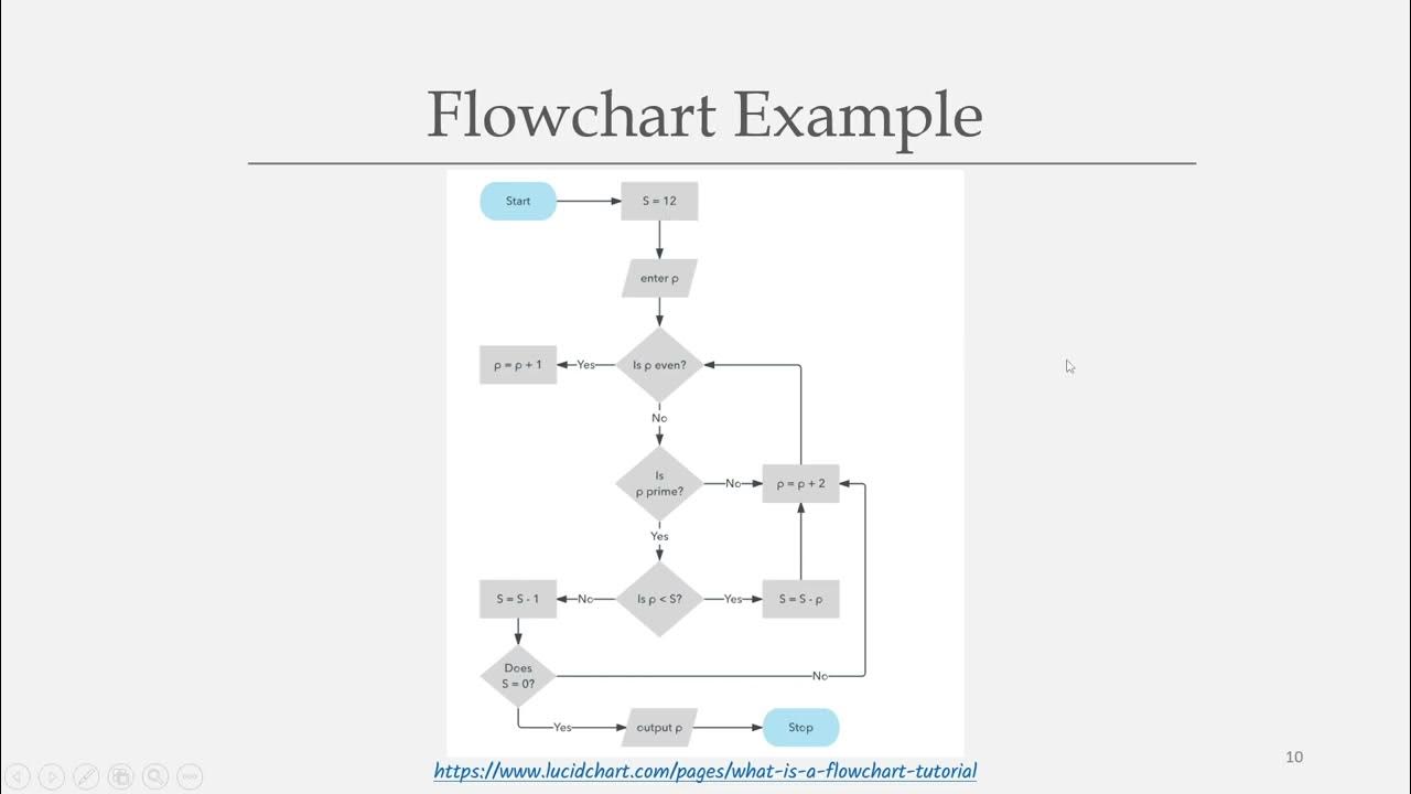 Section 2 - Writing Programs, Understanding Variables & Constants - YouTube