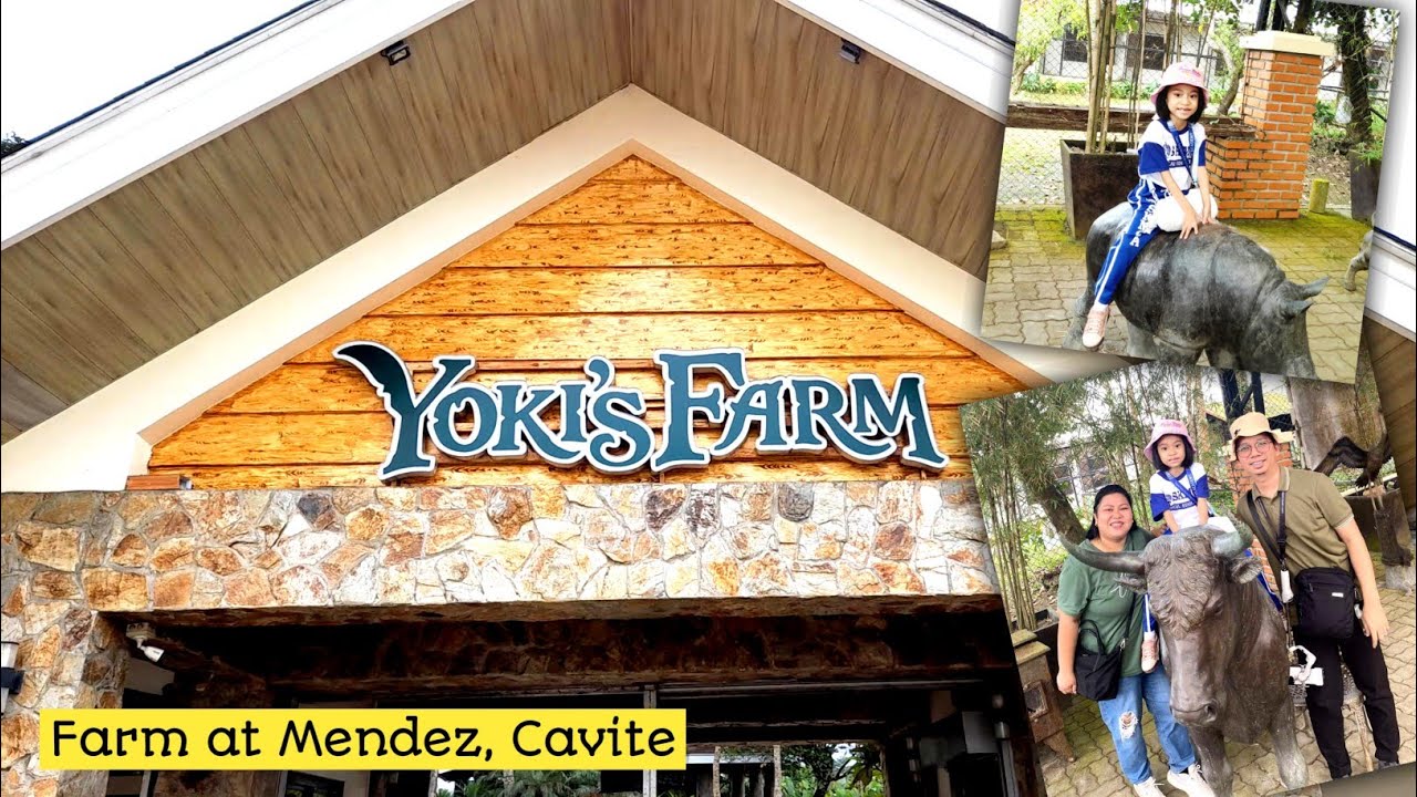 YOKI'S FARM | They have Capybara here! | Bronze Statue Museum ...