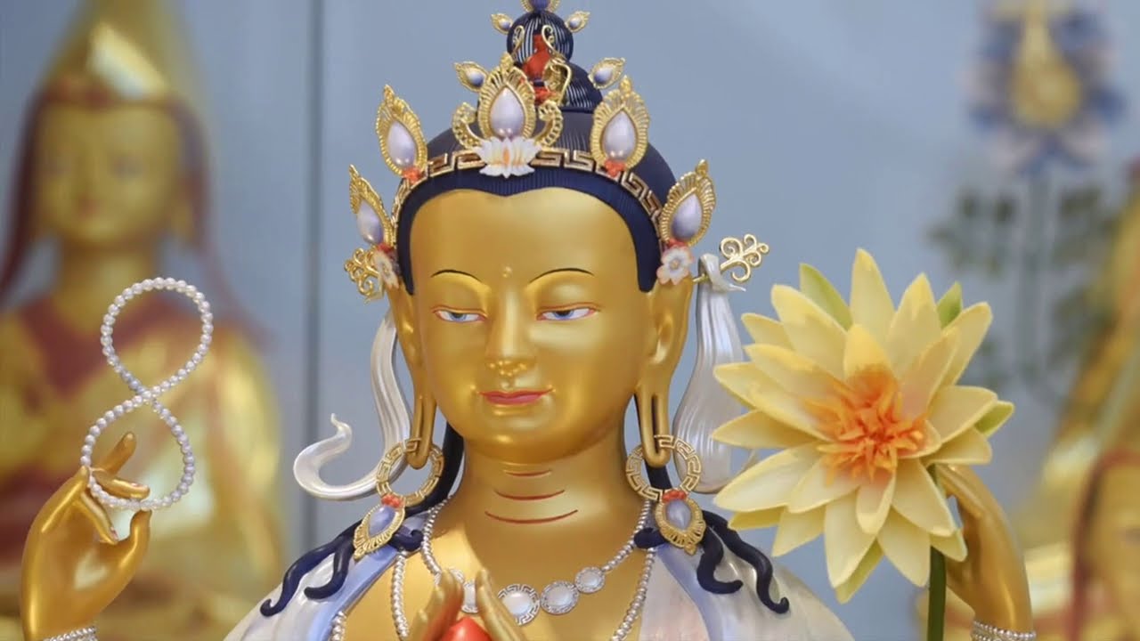 DESCUBRE LA HISTORIA DE TARA - YouTube