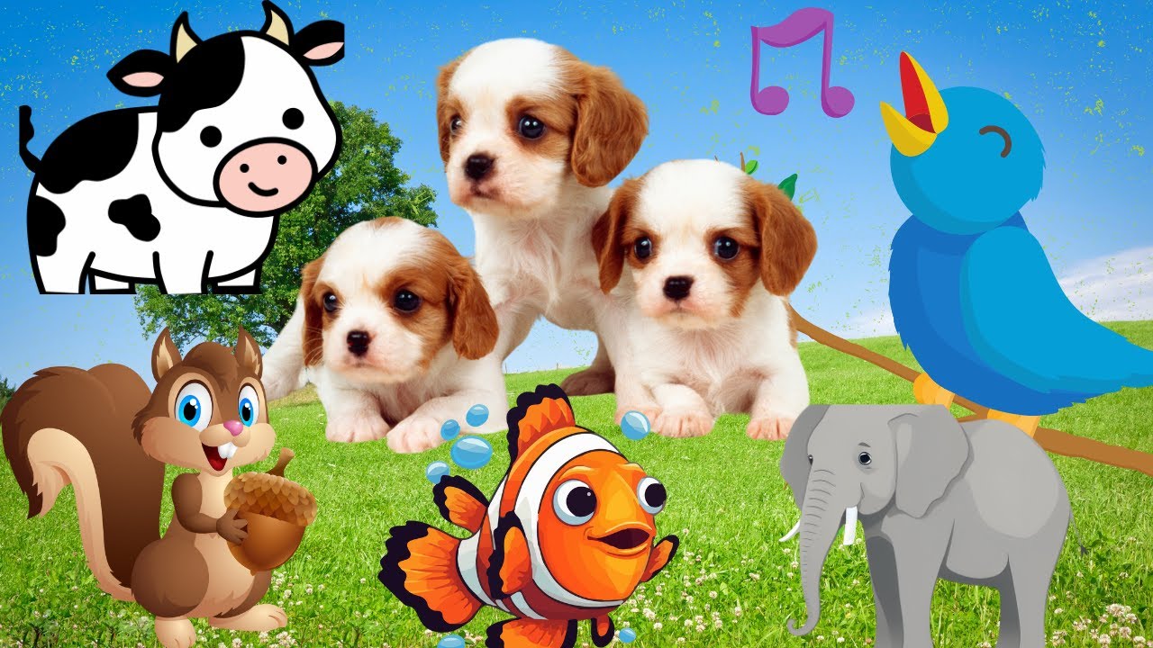 Cute Animal Sounds Around Us – Explore the Adorable World of Tiny ...