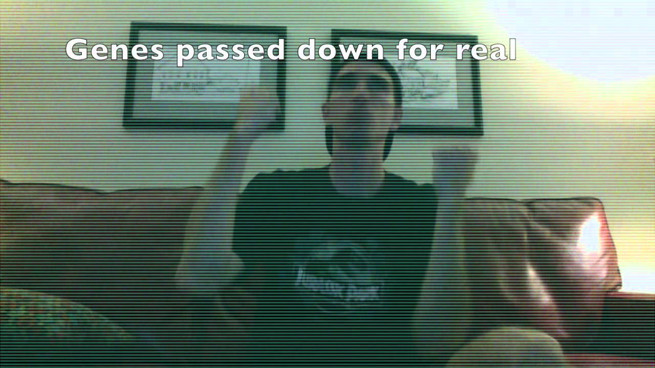 The Evolution Review Song - YouTube