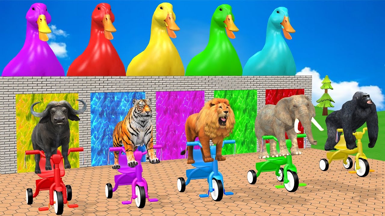 Long Slide Game With Gorilla Elephant Lion Tiger Buffalo - 3d Animal ...