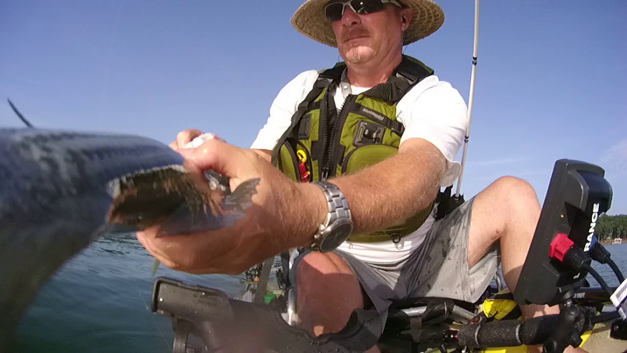 Lake Lanier Striper Kayak Fishing Fun! - YouTube