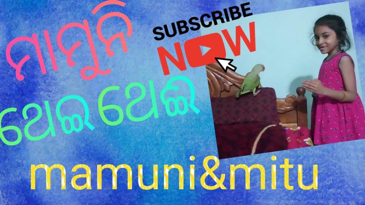 mamuni thei thei...mitu&mamuni #talkingparrot #mitu - YouTube