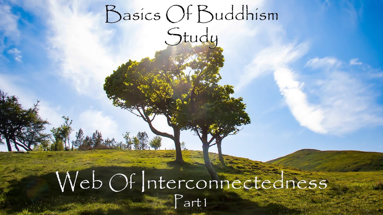 Basics Of Buddhism Study - Web of Inter connectedness (Part 1) - YouTube
