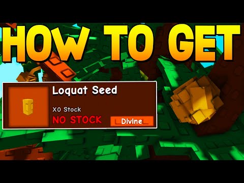 HOW TO GET LOQUAT SHOWCASE in GROW A GARDEN! ROBLOX - YouTube