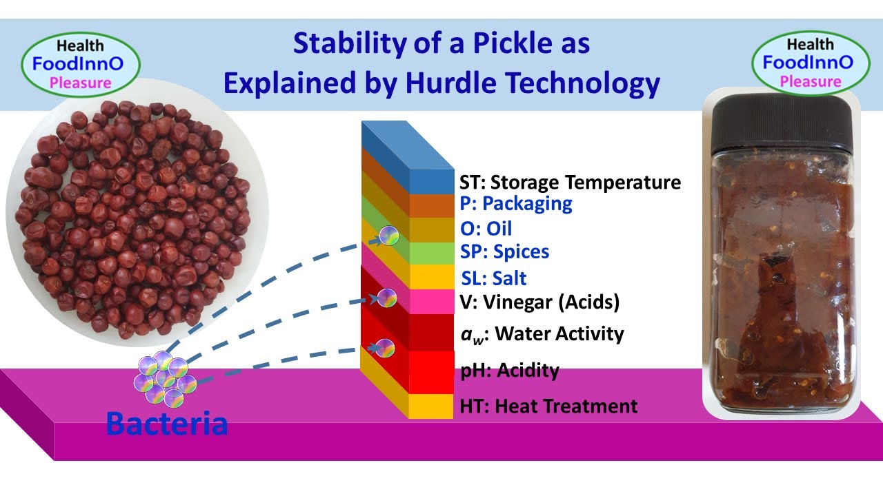 Hurdel Technology Explained in Pickle - YouTube