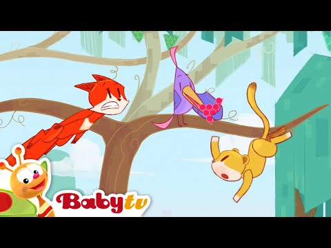 A Grape Adventure! 🍇 Who Will Win the Race? @BabyTV