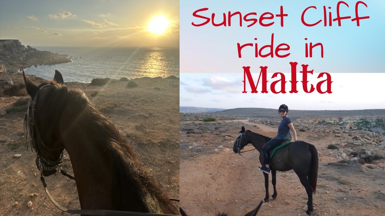 Why Horseback Riding in Malta is a Must - YouTube