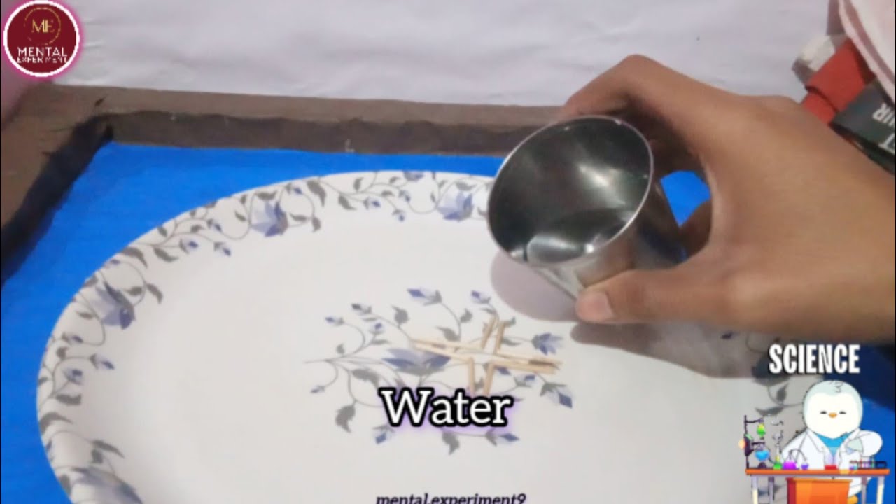 simple experiment | science experiment | experiment video | Mental ...