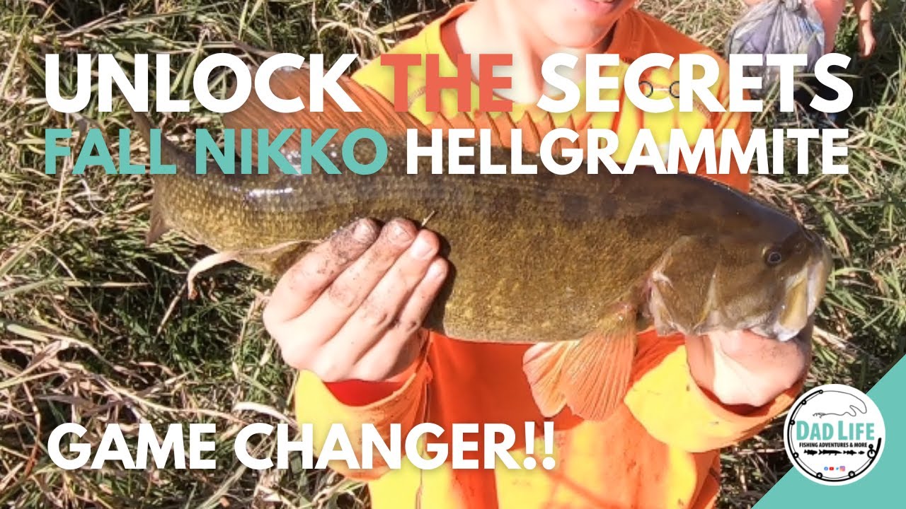 Unlock The Secrets Fall Nikko Hellgrammite Game Changer - YouTube