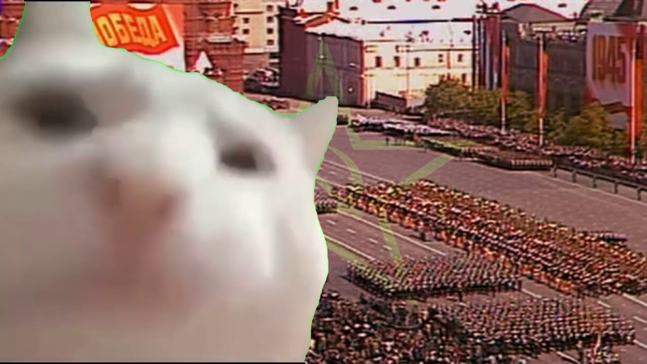 Cat vibing to Marshal Zhukovs Theme - TNO MEME - YouTube