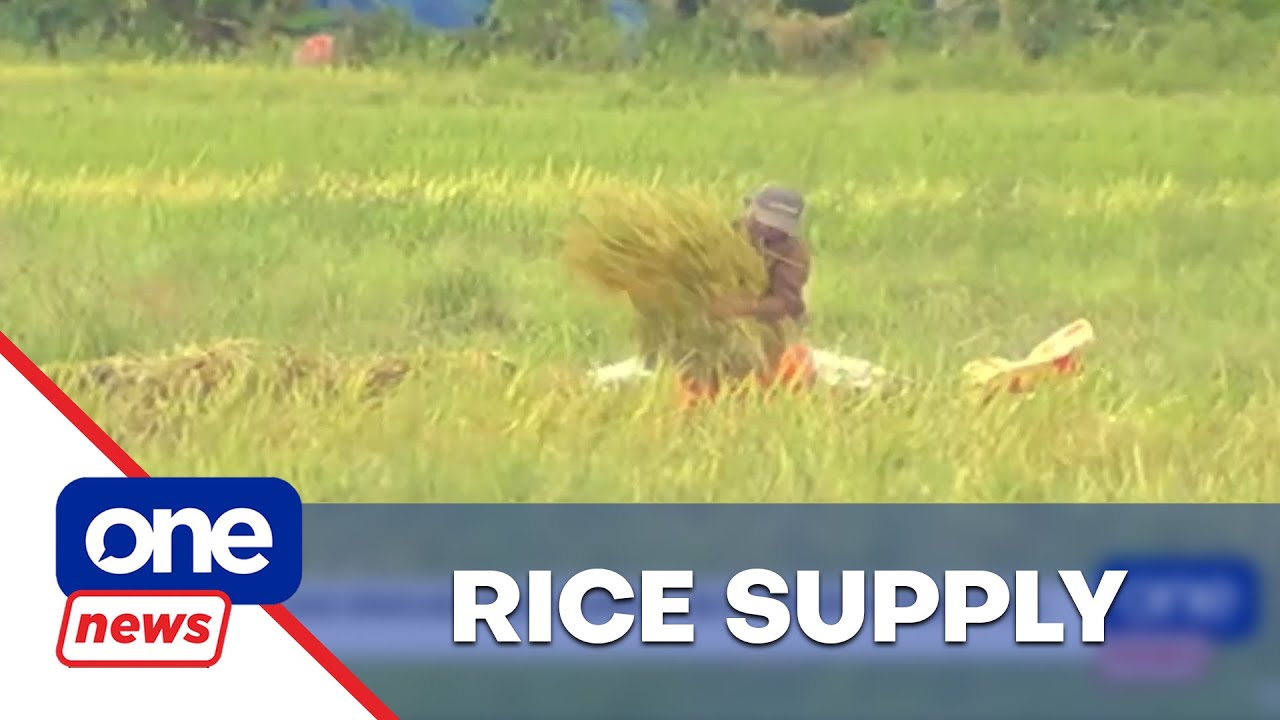 PBBM assures enough supply of rice - YouTube