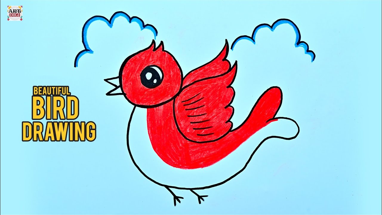 How to draw Cute Bird | Beautiful Bird drawing - YouTube