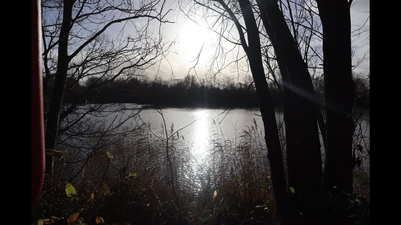 Bromham Lakes Local Nature Reserve (Bedfordshire) - YouTube