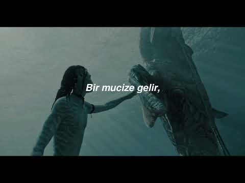 The Songcord - Zoe Saldana Türkçe Çeviri (Avatar: The way of water) | Kambe