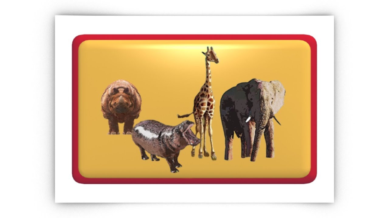 ANIMALES de PRADERA Para Niños - Adivinanzas - Juegos Infantiles ...