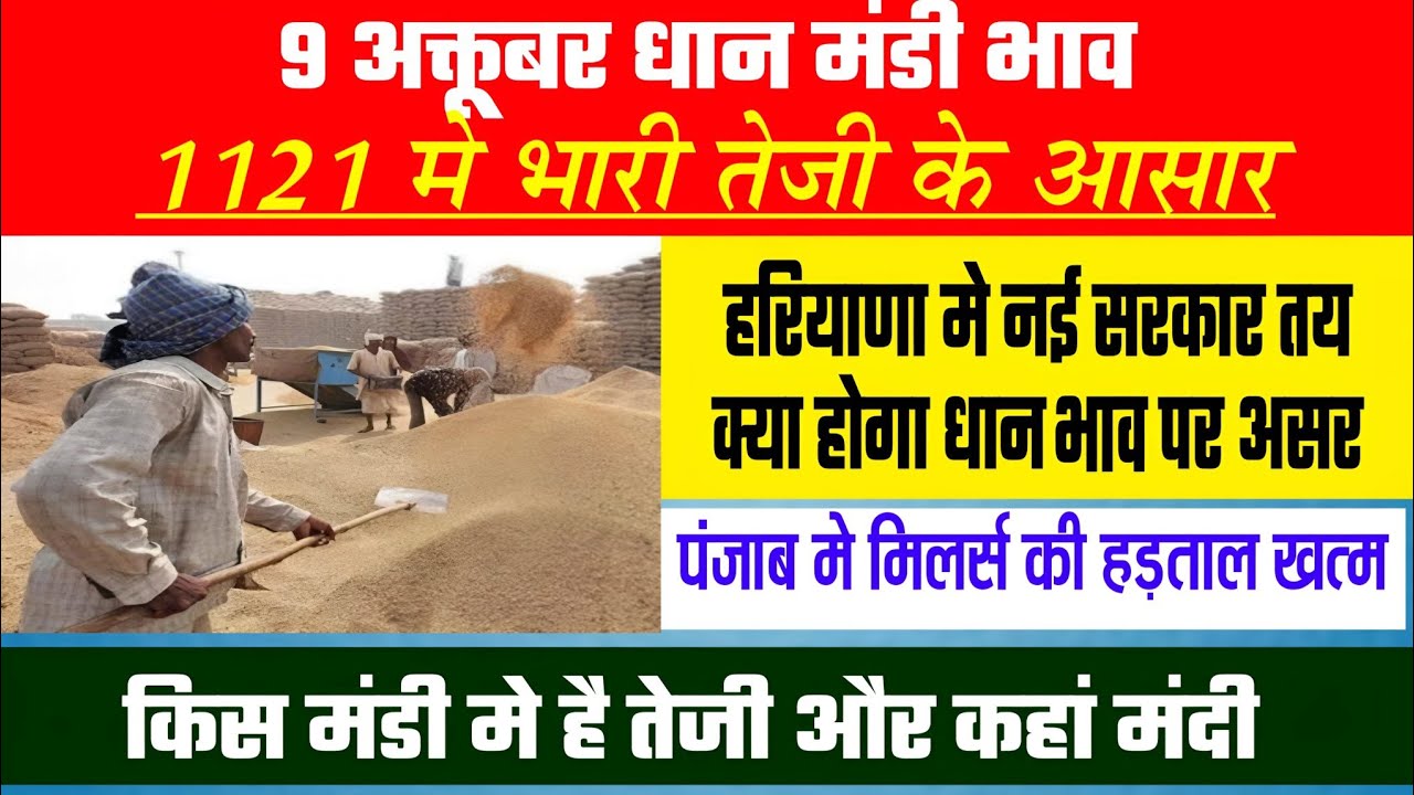 9 अक्तूबर के धान मंडी भाव | dhan Mandi Bhav Today Up Anaj Mandi Ka Taza ...