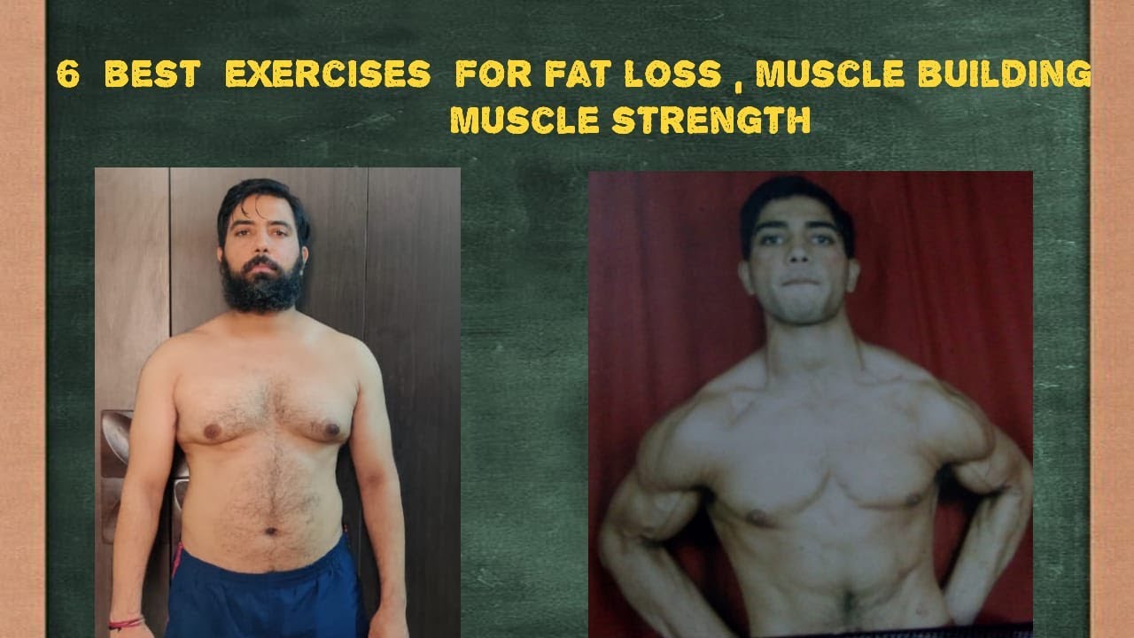 6 best body transformation body weight and barbell exercises - YouTube